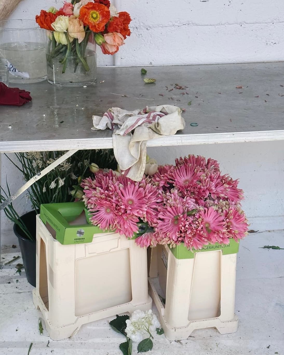 Camilla Pihl - Castor Florista